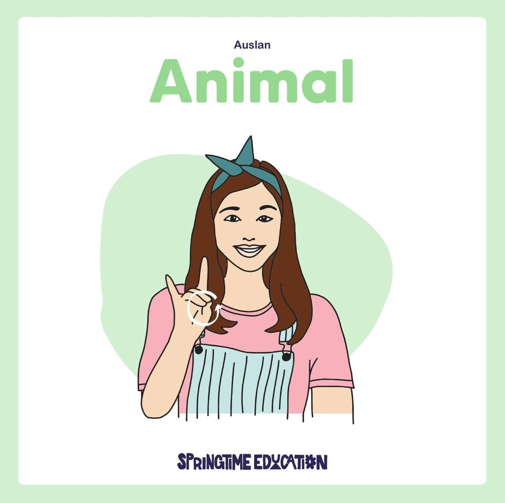 Auslan Flashcards set – Auslan Journey